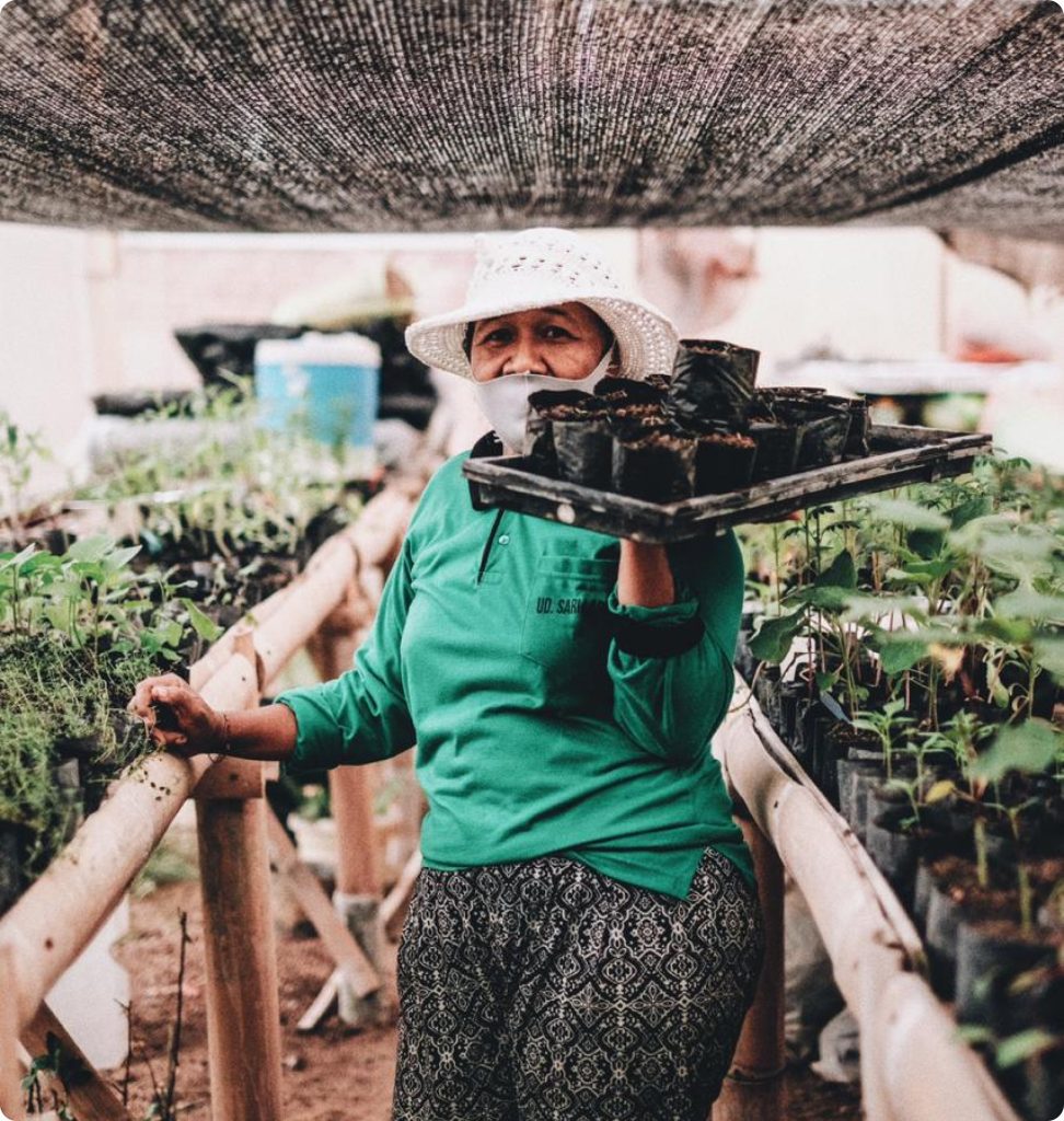 About - Little Spoon Farm